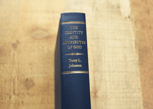 The Identity and Attributes of God by Terry L Johnson | Banner of Truth UK