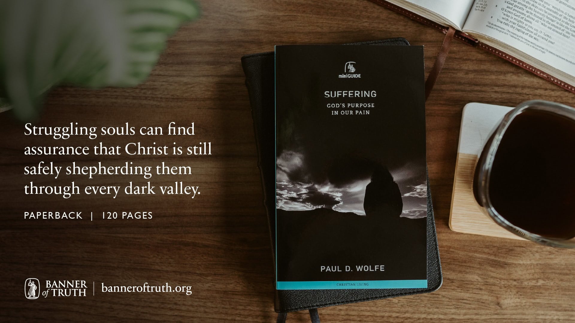Suffering by Paul D. Wolfe | Banner of Truth USA