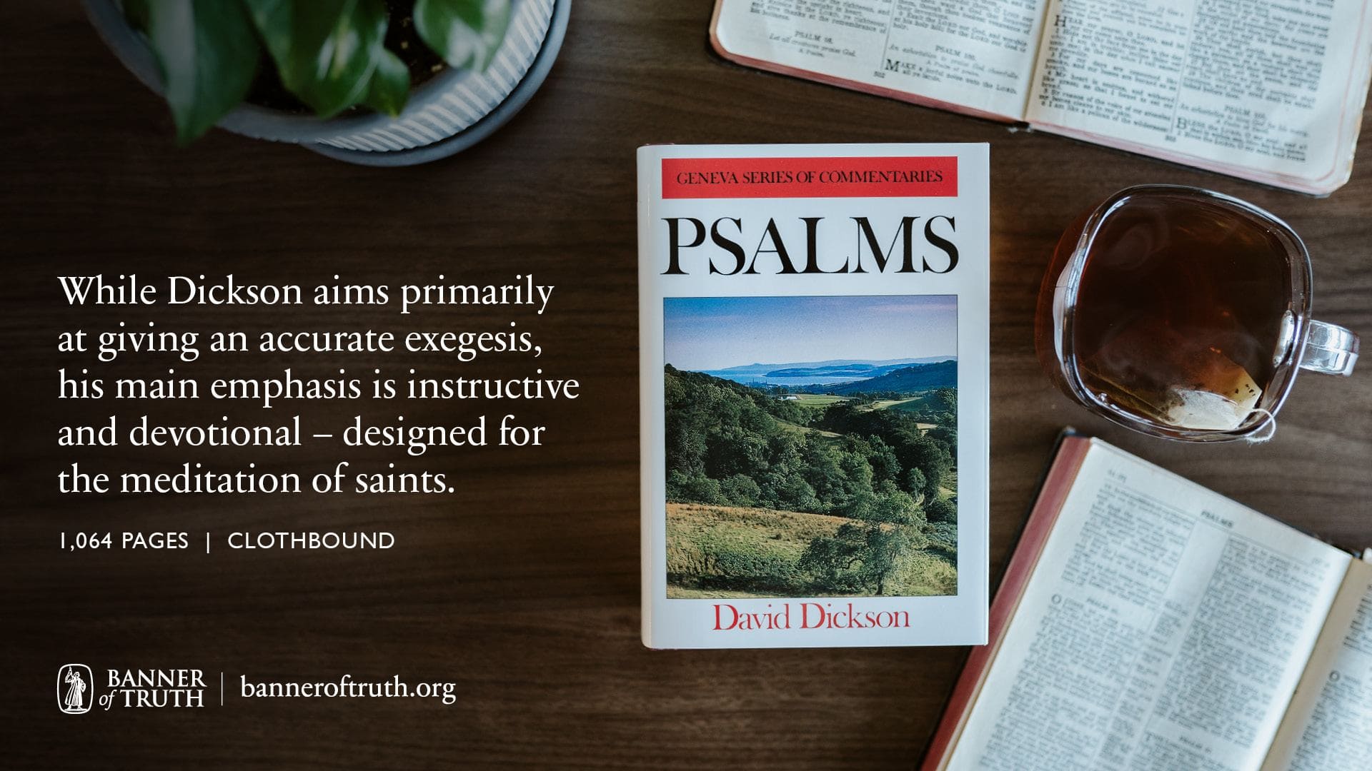 Psalms by David Dickson | Banner of Truth USA