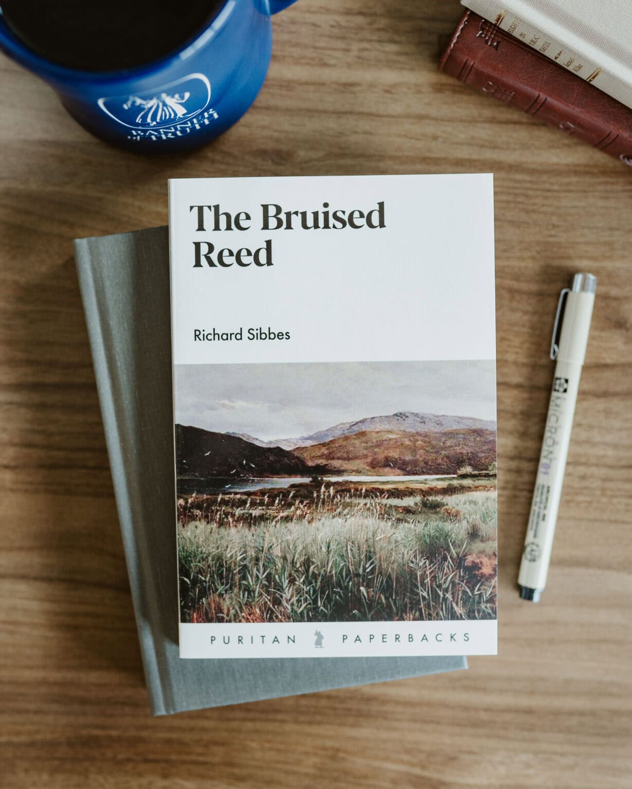 The Bruised Reed by Richard Sibbes | Banner of Truth USA