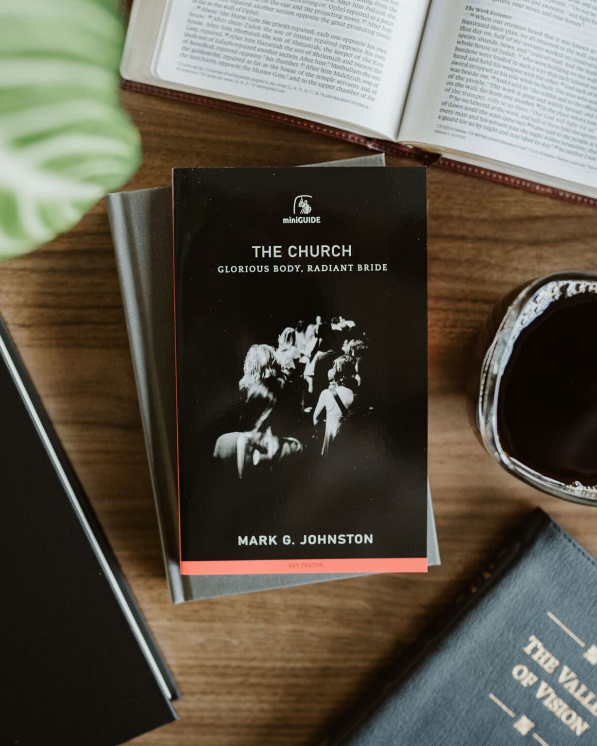 The Church by Mark Johnston | Banner of Truth USA