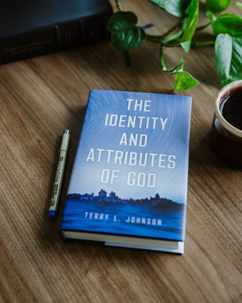 The Identity and Attributes of God by Terry L. Johnson | Banner of ...