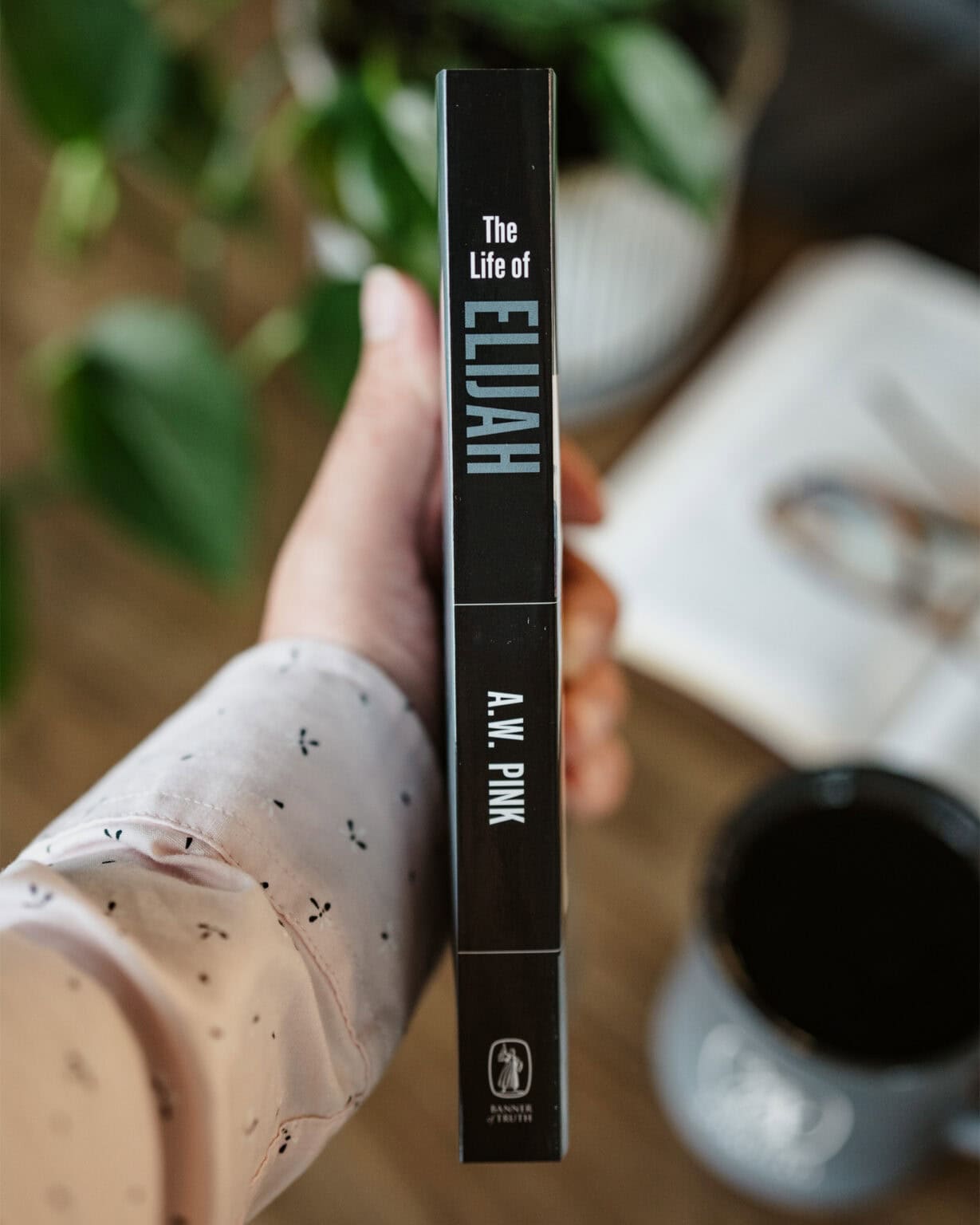 The Life of Elijah by A. W. Pink | Banner of Truth USA