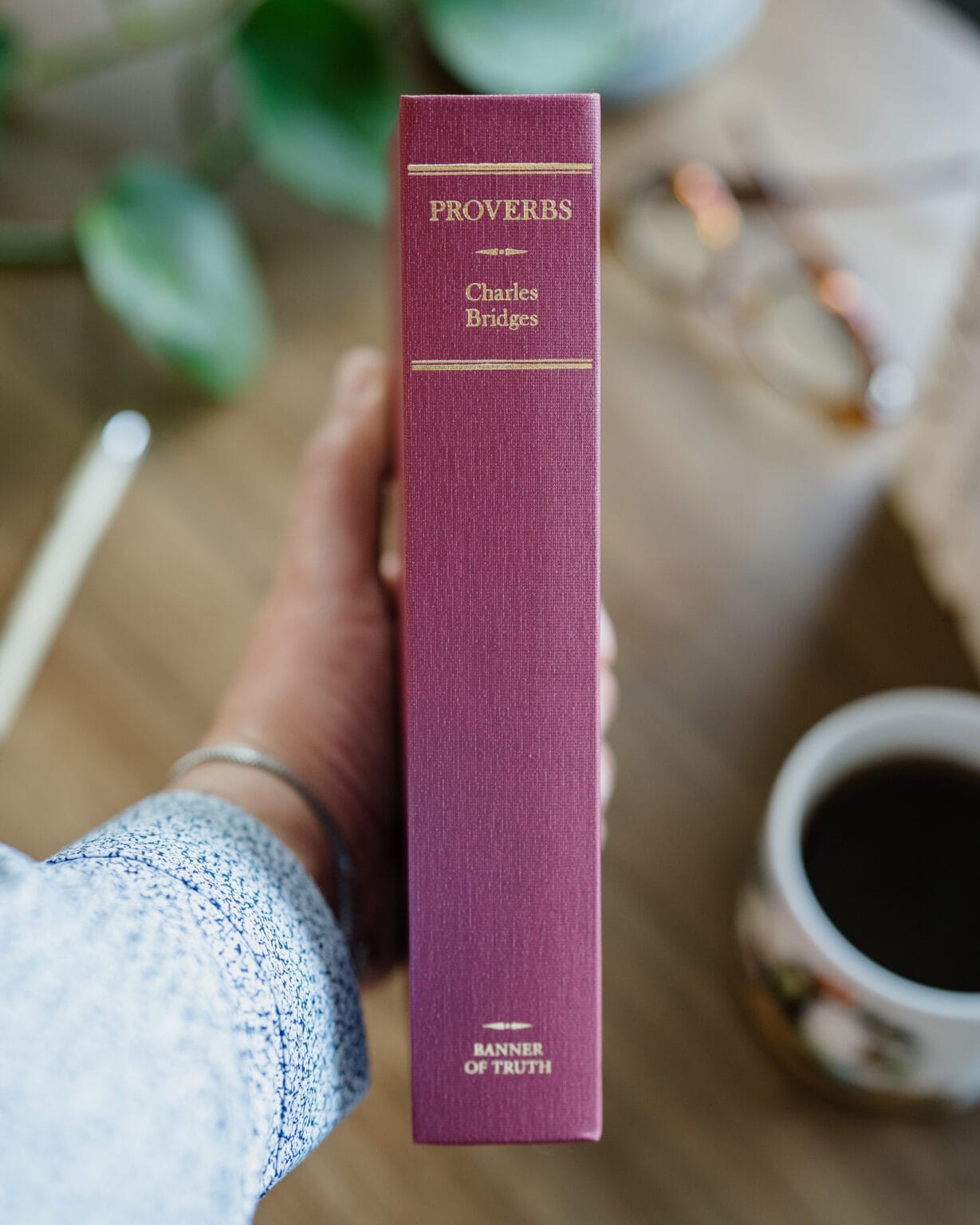 Proverbs by Charles Bridges | Banner of Truth USA