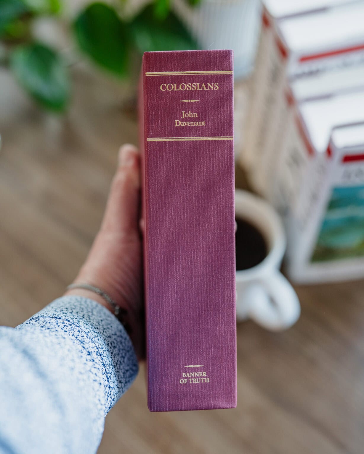 Colossians by John Davenant | Banner of Truth USA