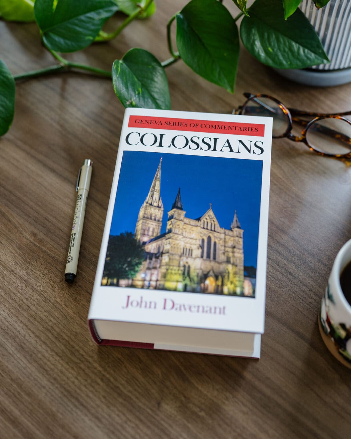 Colossians by John Davenant | Banner of Truth USA