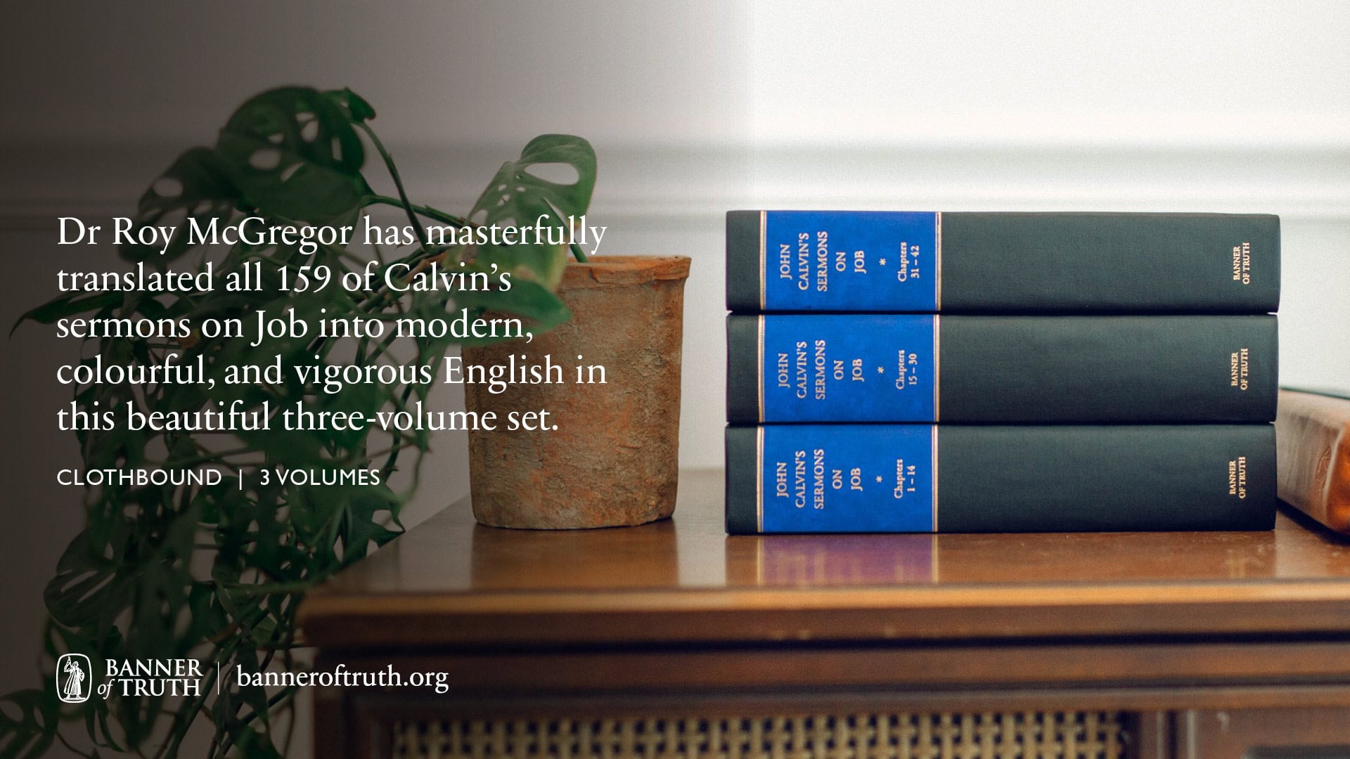 Sermons on Job by John Calvin | Banner of Truth USA